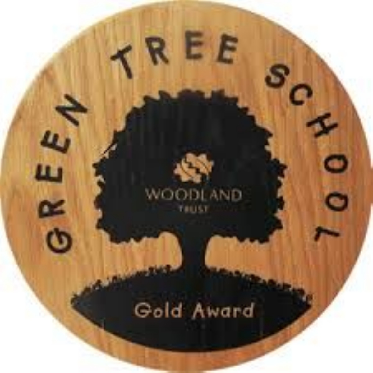 Inclusive Multi Academy Trust - Cherry Tree Awarded Woodland Trust Gold ...